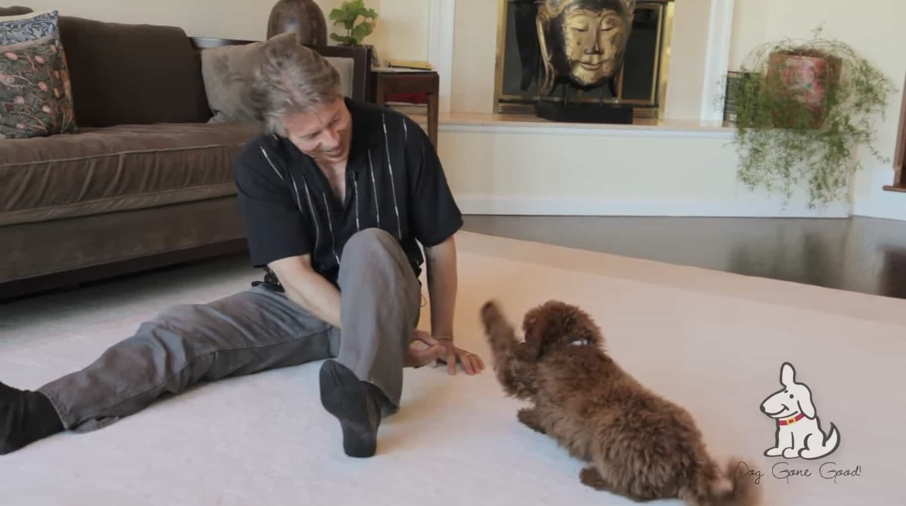 Training Video Series – Dog Gone Good